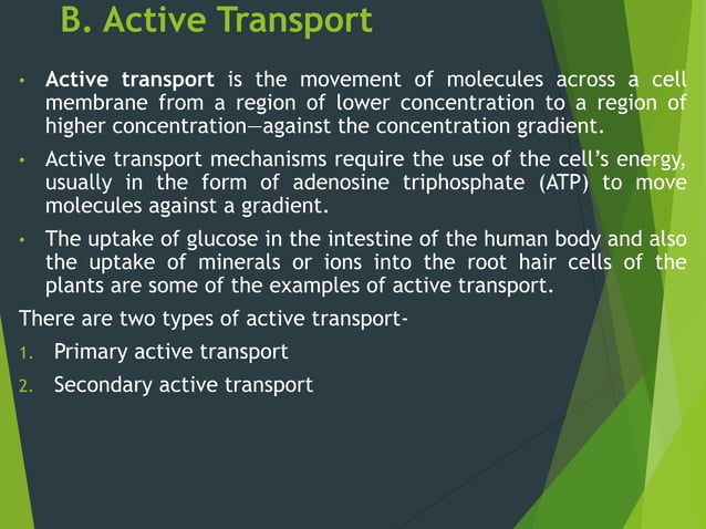 Transport across the plasma membrane.ppt