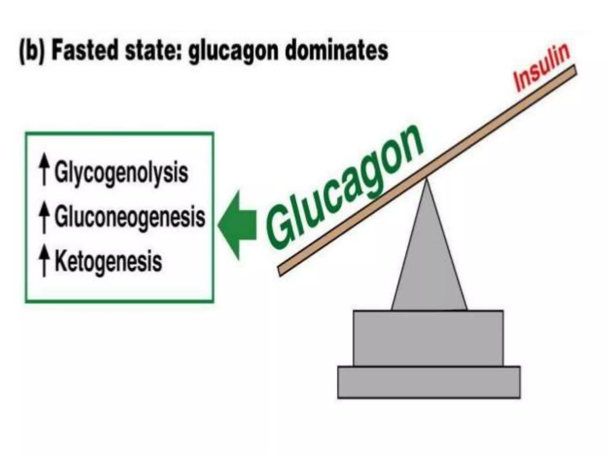 Regulation of blood Glucose Part-I.pptx