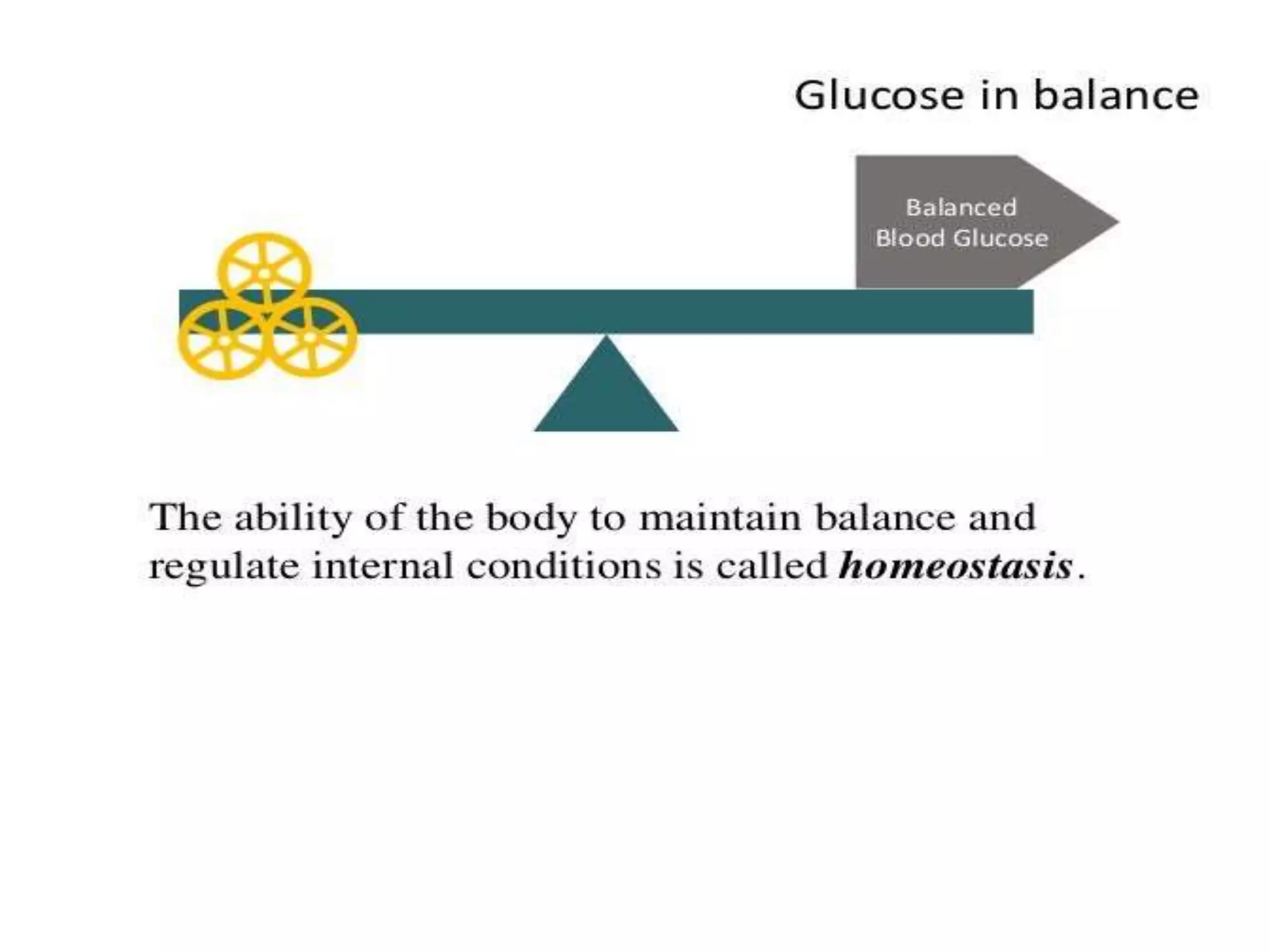 Regulation of blood Glucose Part-I.pptx