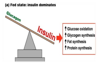 Regulation of blood Glucose Part-I.pptx