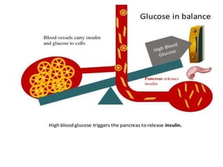 Regulation of blood Glucose Part-I.pptx