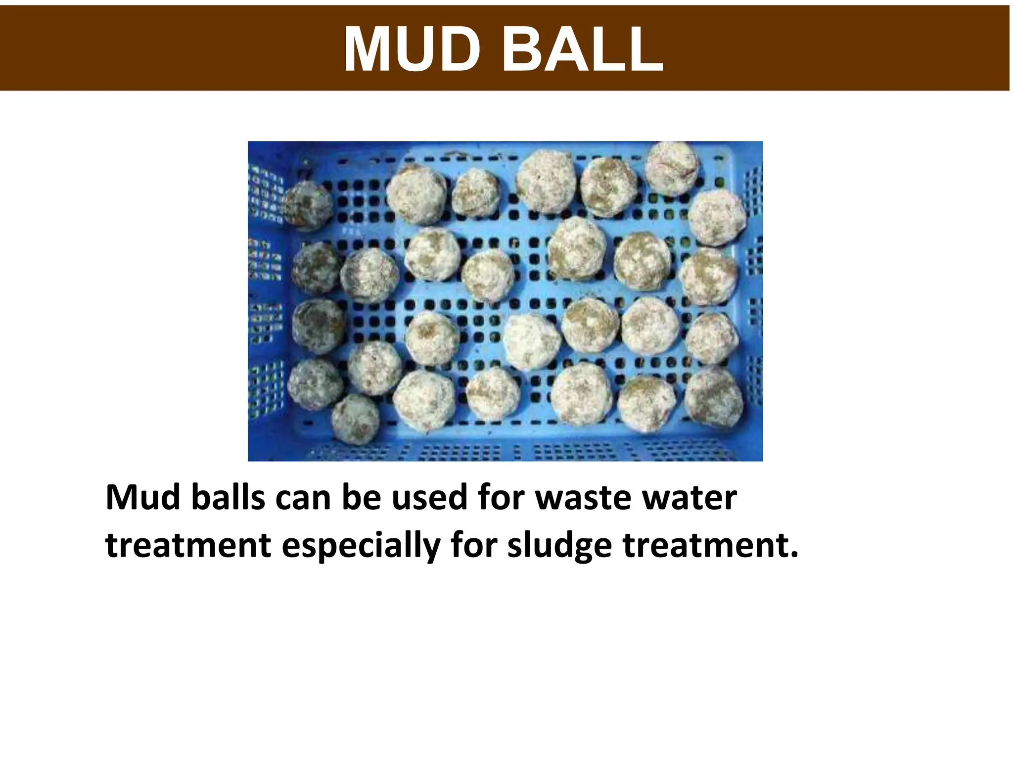 7. Concoctions and Fertilizers.pptx