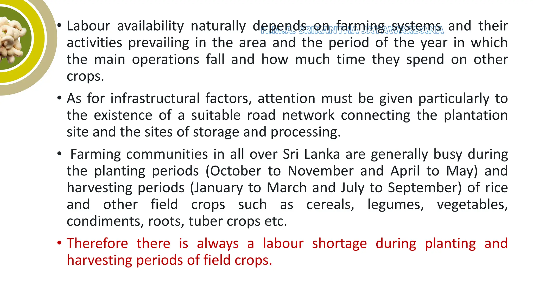 Planting & Management Practices of Cashew | PPTX