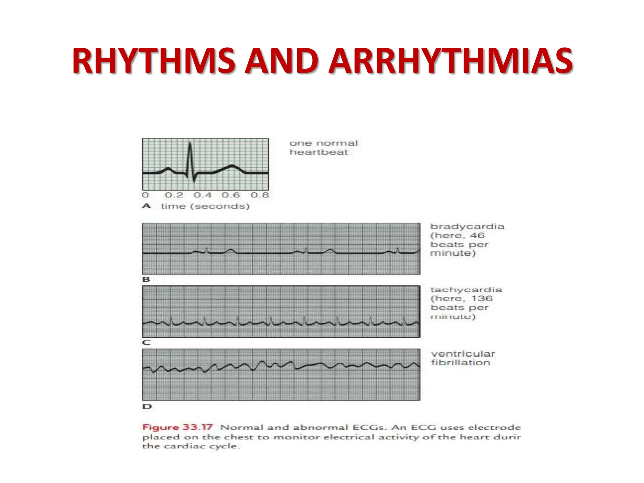 Circulatory system of human being its structure function types and comparison of open and closed ...