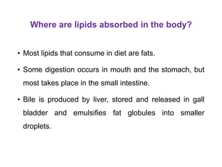 LIPIDS- Metabolism of Lipids.pptx