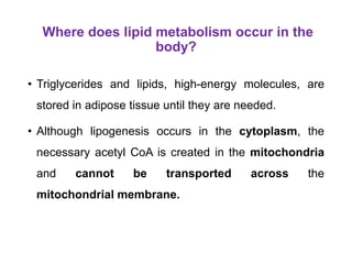 LIPIDS- Metabolism of Lipids.pptx