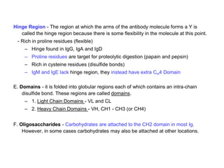 Immunoglobulins types | PPT