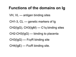 Immunoglobulins types | PPT