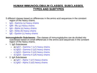 Immunoglobulins types | PPT