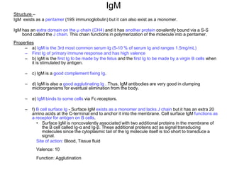 Immunoglobulins types | PPT