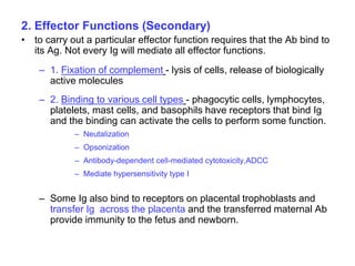 Immunoglobulins types | PPT