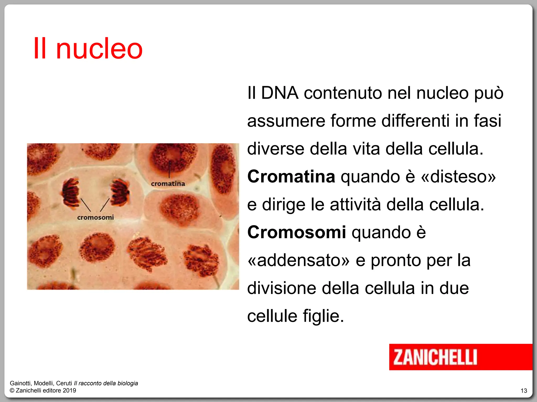 7. La Cellula.ppt