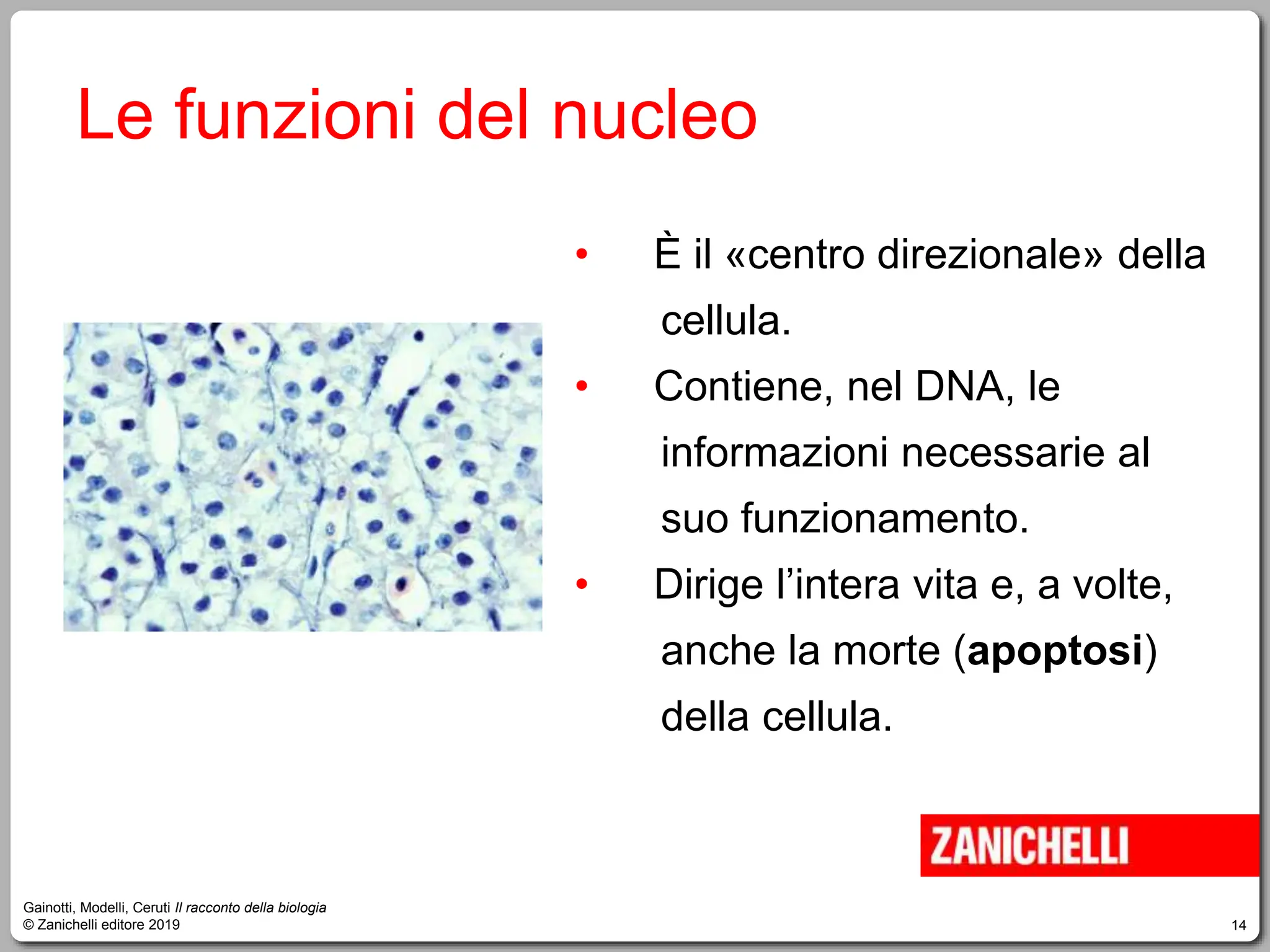 7. La Cellula.ppt