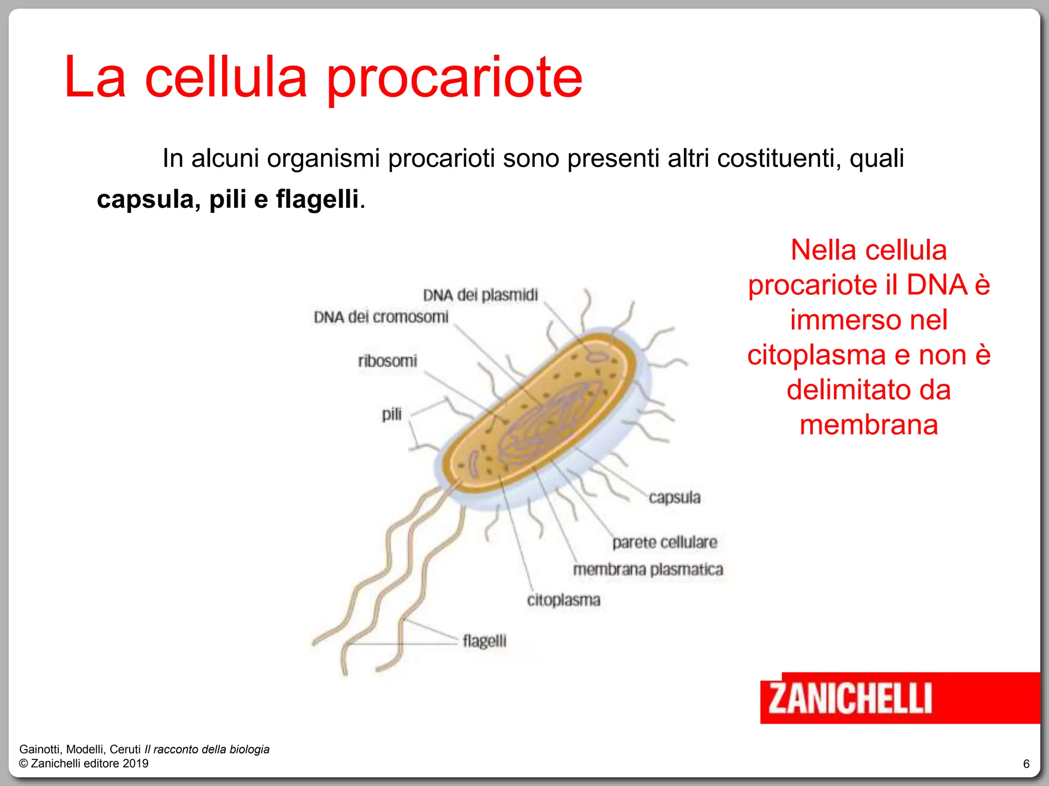 7. La Cellula.ppt