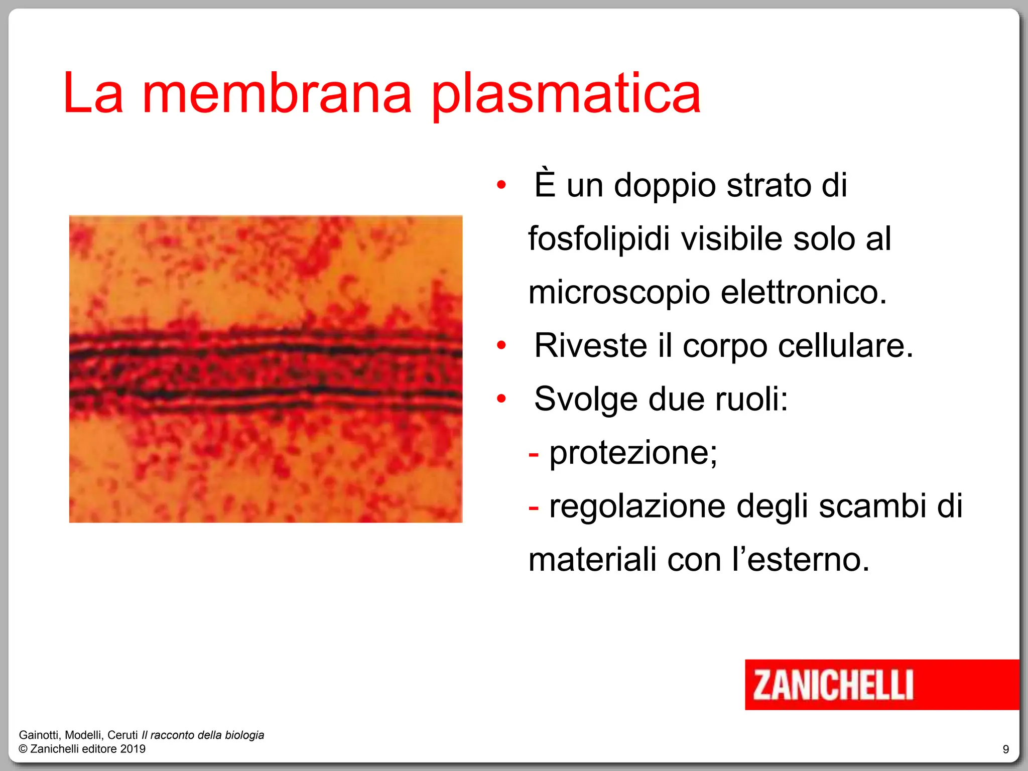 7. La Cellula.ppt