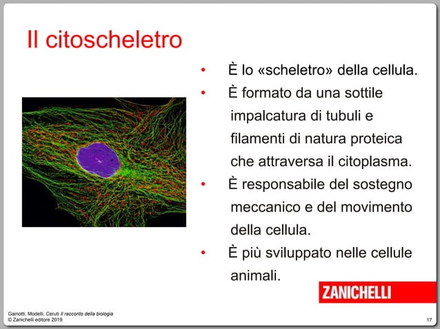 7. La Cellula.ppt