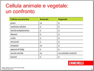 7. La Cellula.ppt