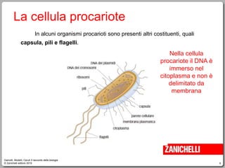 7. La Cellula.ppt