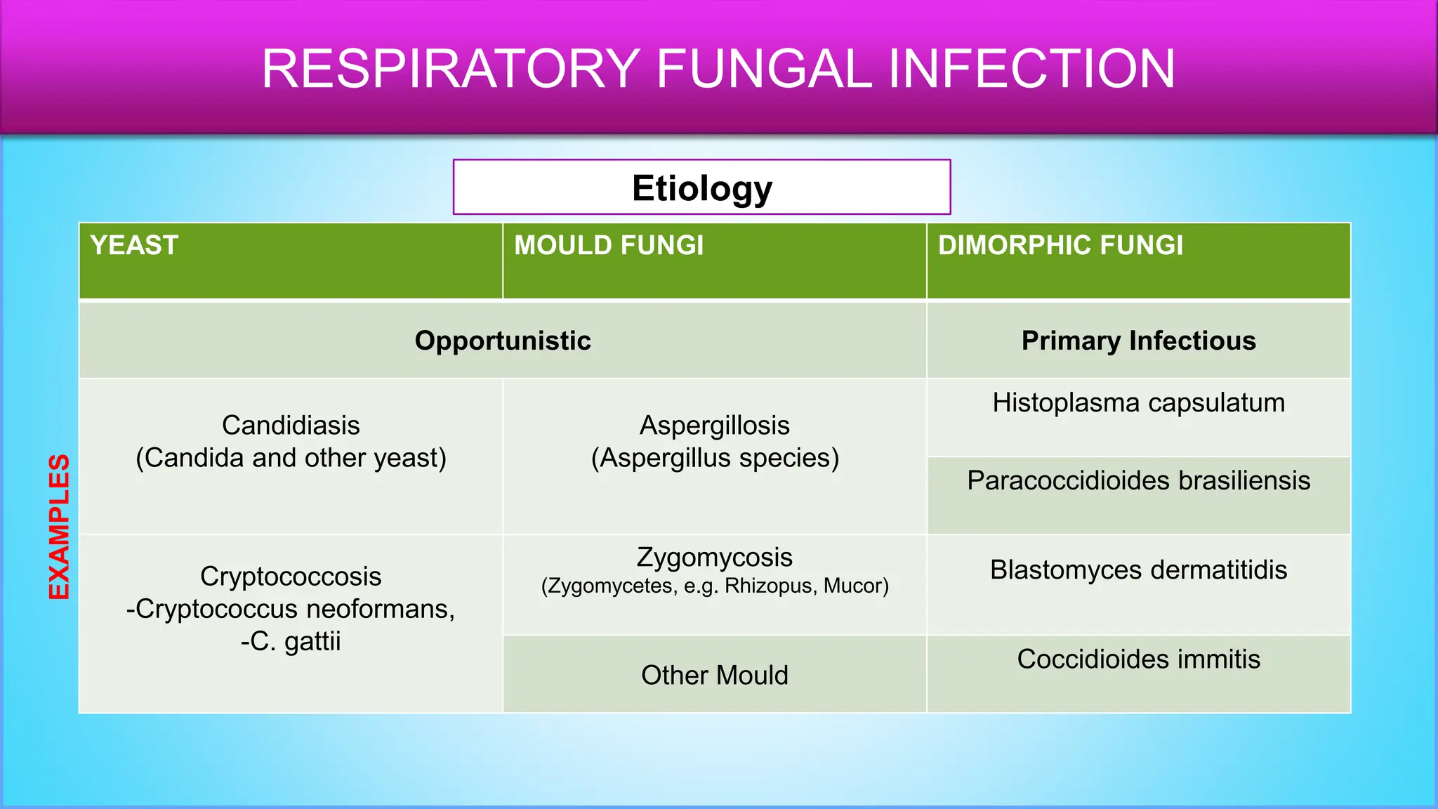 7.Respiratory Fungal Infections.pptx