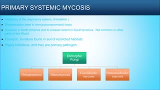7.Respiratory Fungal Infections.pptx