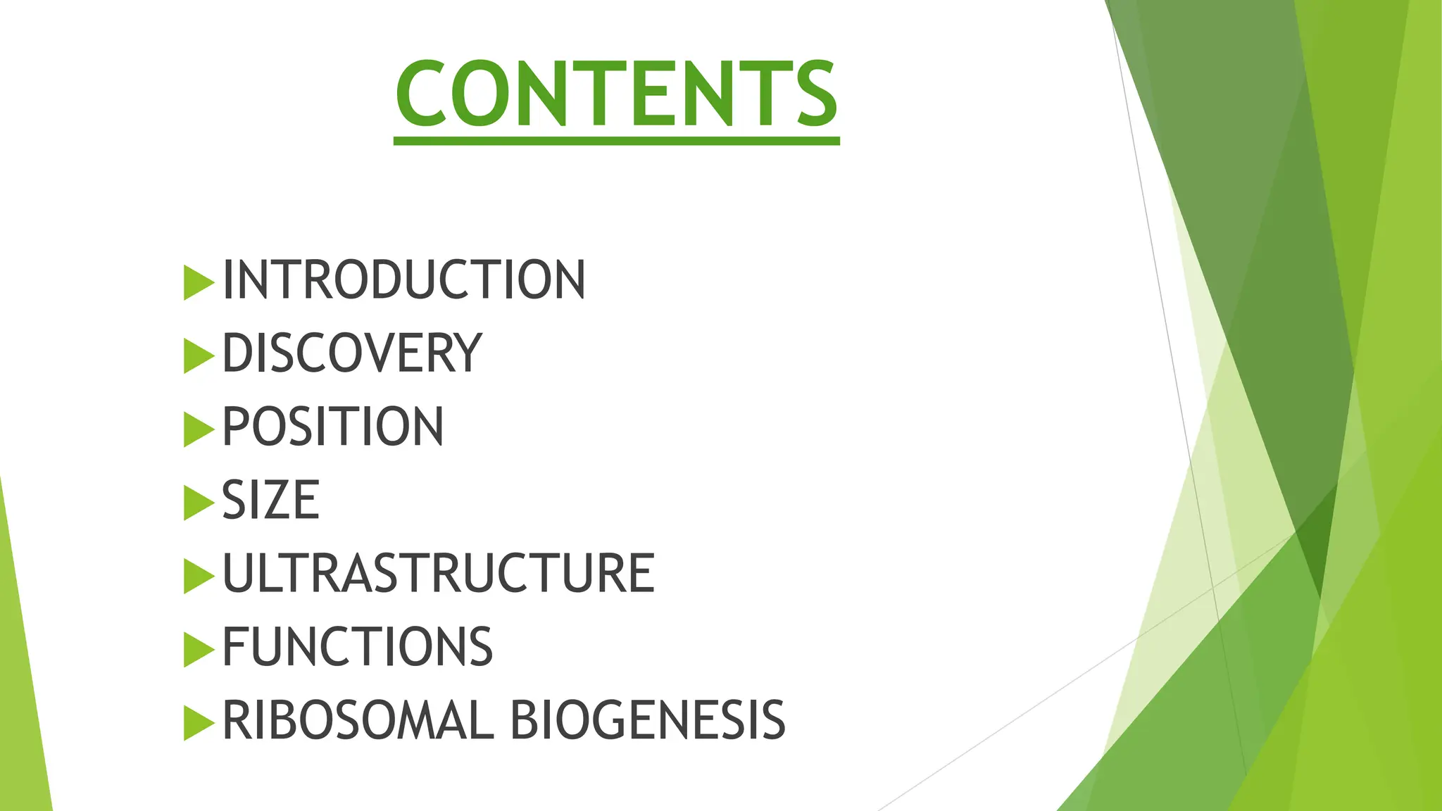 Nucleus Structure And Function Of Nucleolus Ppt
