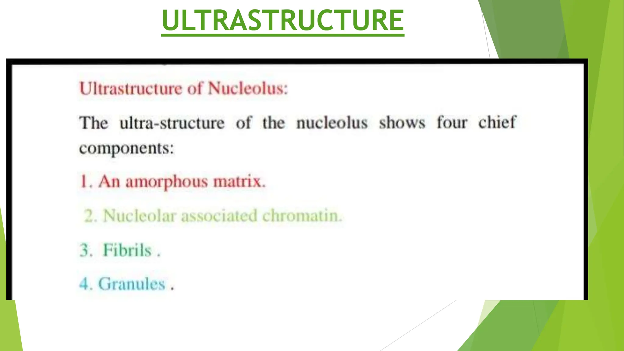 Nucleus Structure And Function Of Nucleolus Ppt
