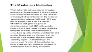 Nucleus - Structure and function of nucleolus | PPT