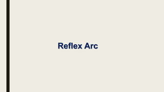 7.NEURO TRANSMITTER AND REFLEX ARCH.pptx