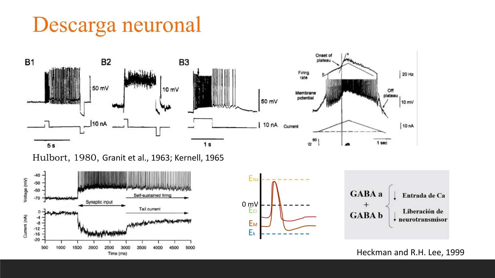 7.Excitabilidad neuronal y potencial de accion (1).pptx