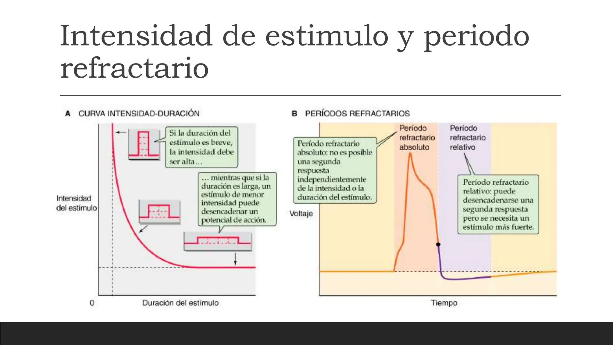 7.Excitabilidad neuronal y potencial de accion (1).pptx