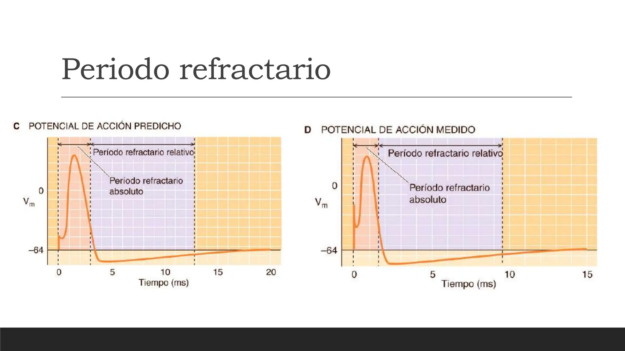 7.Excitabilidad neuronal y potencial de accion (1).pptx