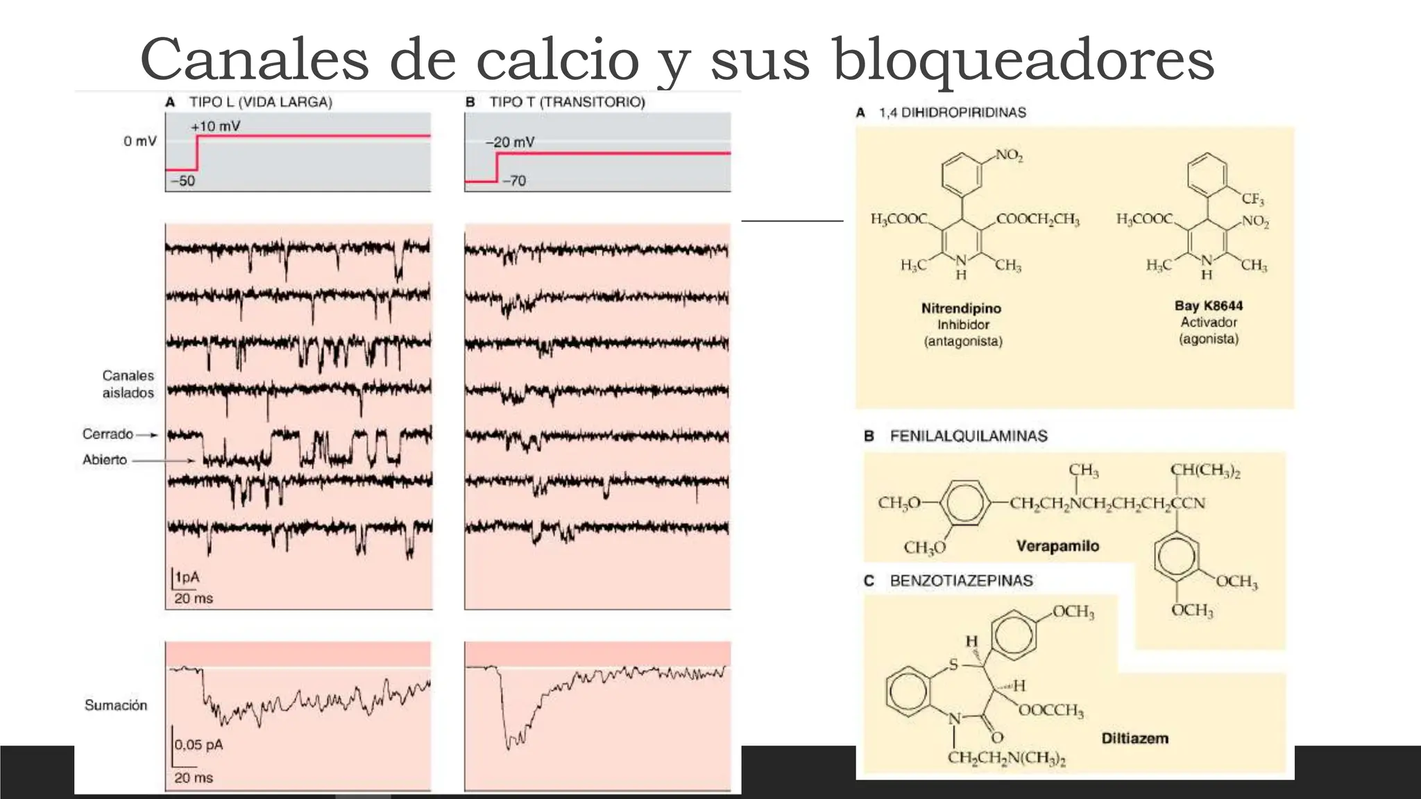 7.Excitabilidad neuronal y potencial de accion (1).pptx
