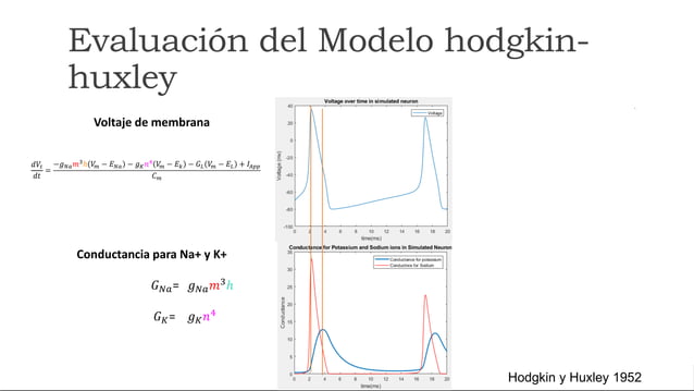 7.Excitabilidad neuronal y potencial de accion (1).pptx