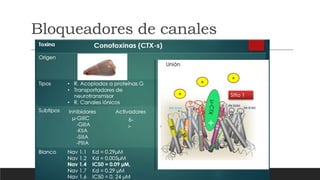 7.Excitabilidad neuronal y potencial de accion (1).pptx