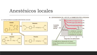 7.Excitabilidad neuronal y potencial de accion (1).pptx