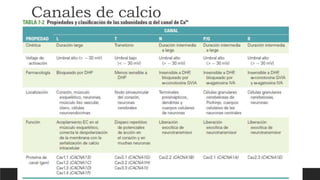 7.Excitabilidad neuronal y potencial de accion (1).pptx