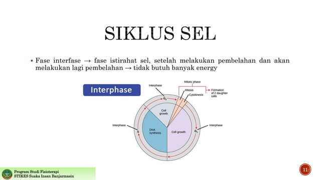 MATERI BIOLOGI MOLEKULER - PEMBELAHAN SEL.pptx