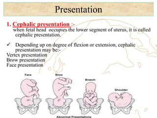 7.FETAL presentation(7).ppt for mbbs students | PPT