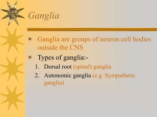 7.central Nervous system histological anatomy | PPT | Brain and Nervous ...