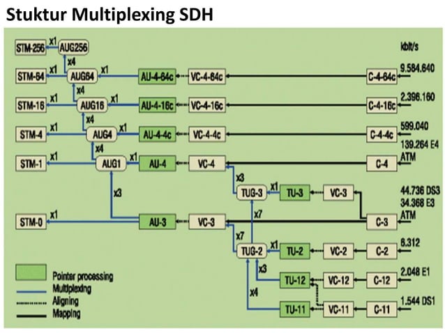 7. Presentation Synchronous Digital Hierarchy.pptx