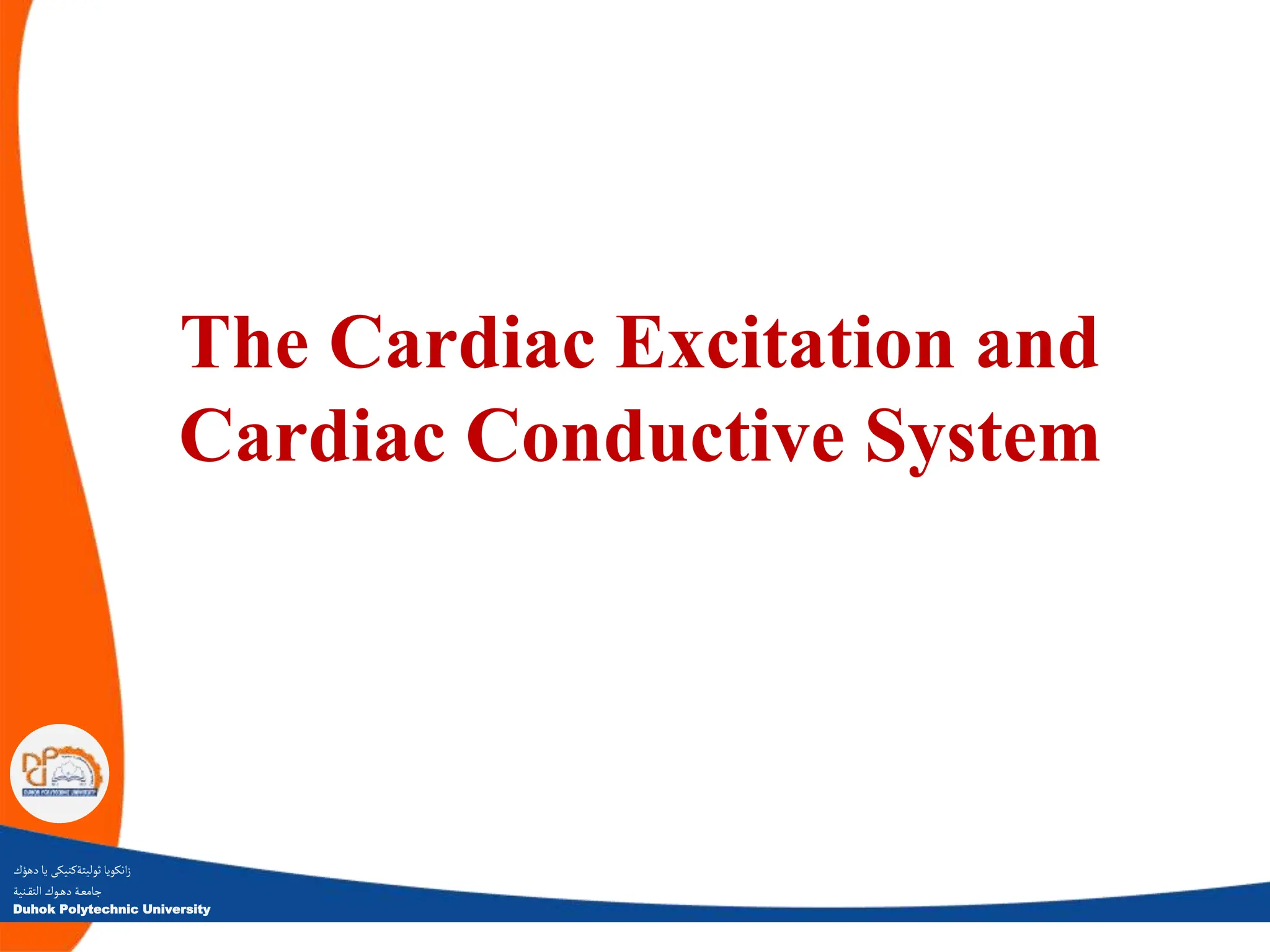 7.Cardiac Excitation and Cardiac Conductive System.ppt