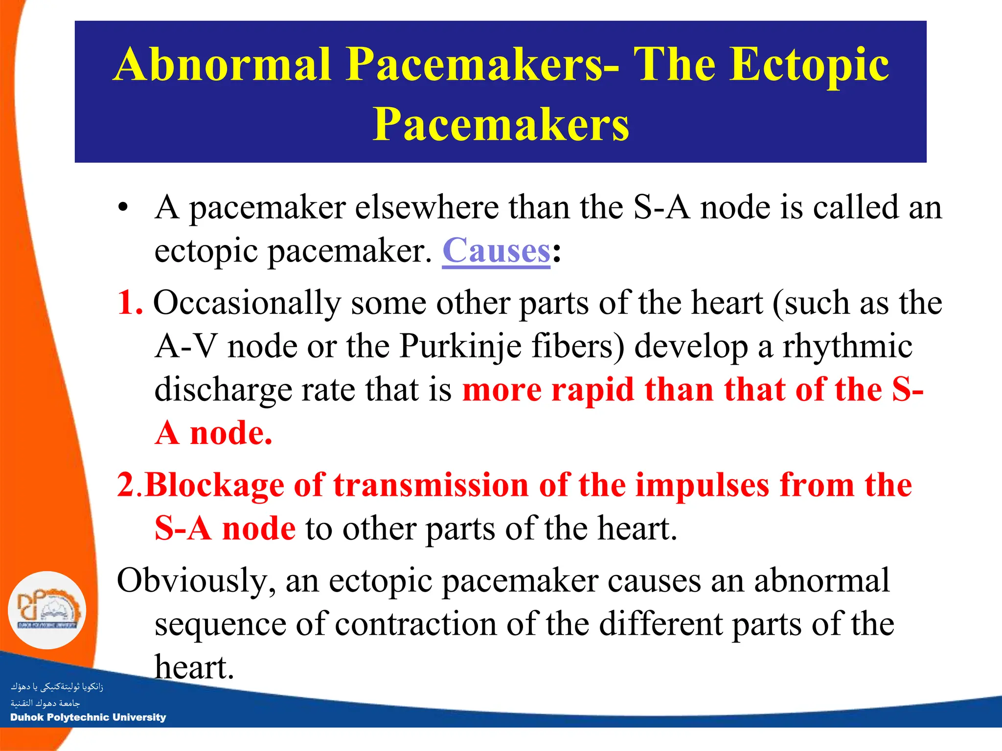7.Cardiac Excitation and Cardiac Conductive System.ppt