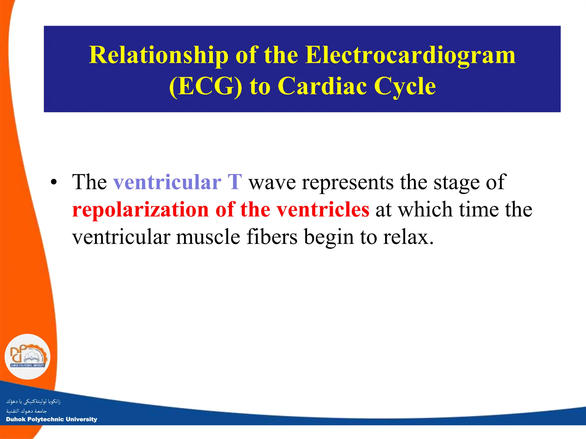 7.Cardiac Excitation and Cardiac Conductive System.ppt