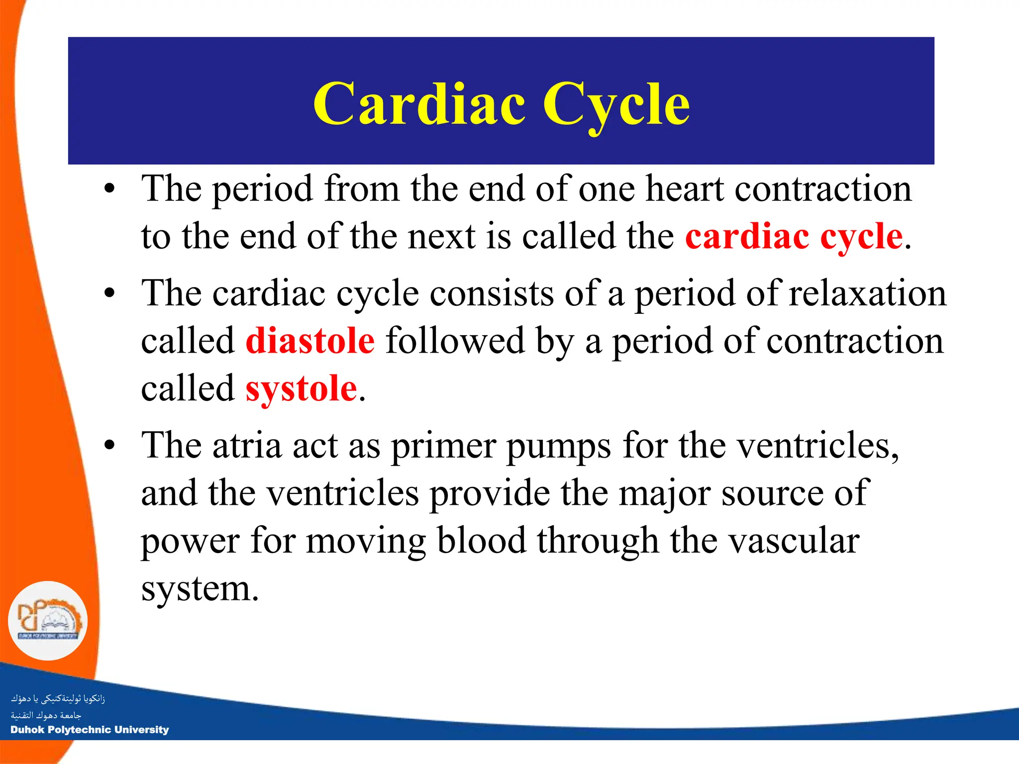 7.Cardiac Excitation and Cardiac Conductive System.ppt