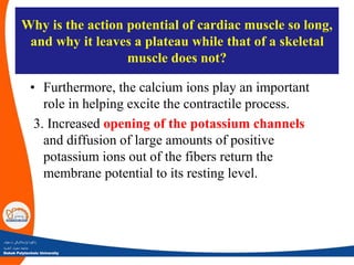 7.Cardiac Excitation and Cardiac Conductive System.ppt
