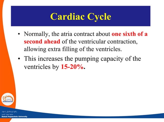 7.Cardiac Excitation and Cardiac Conductive System.ppt