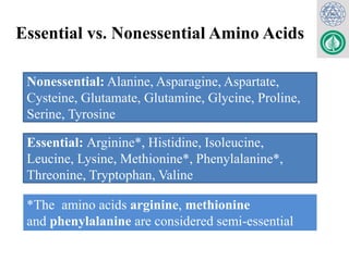 Amino Acid Metabolism for MBBS, Laboratory Medicine.pptx