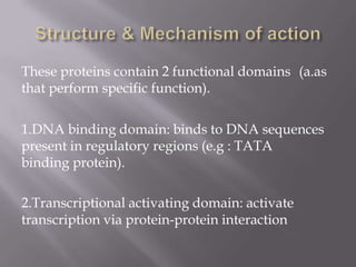 7.1. Regulation of Gene Expression g.pptx