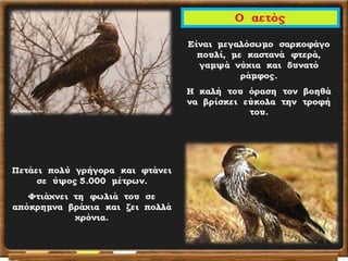 7.ΑΓΡΙΜΙΑ.pptx ΕΝΟΤΗΤΑ ΖΩΑ ΜΕΛΕΤΗ Γ ΔΗΜΟΤΙΚΟΥ | PPTX