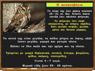 7.ΑΓΡΙΜΙΑ.pptx ΕΝΟΤΗΤΑ ΖΩΑ ΜΕΛΕΤΗ Γ ΔΗΜΟΤΙΚΟΥ | PPTX
